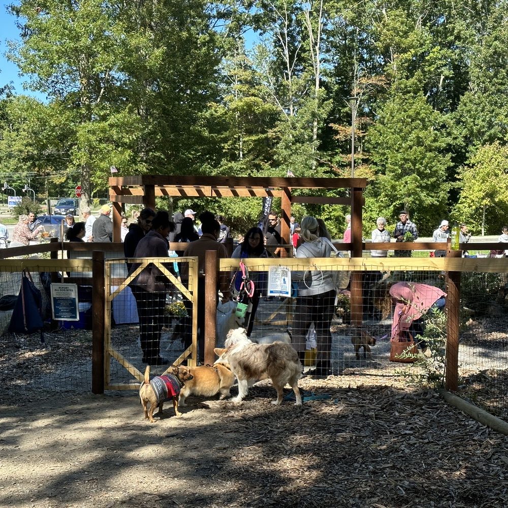 The Ultimate List: Rhode Island’s Best Dog Parks | Off Leash K9 ...